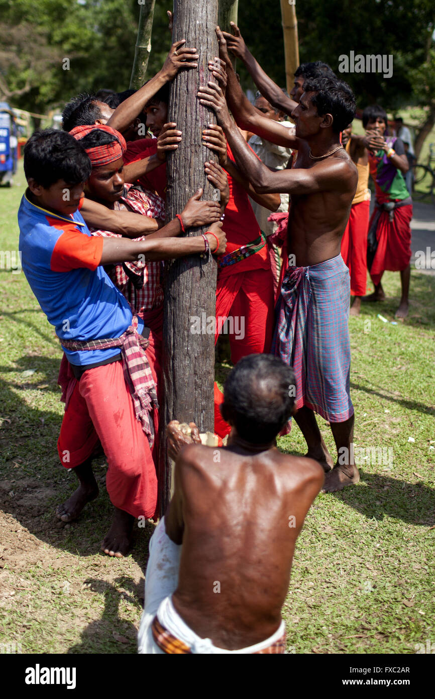 Chorok tree hi-res stock photography and images - Alamy