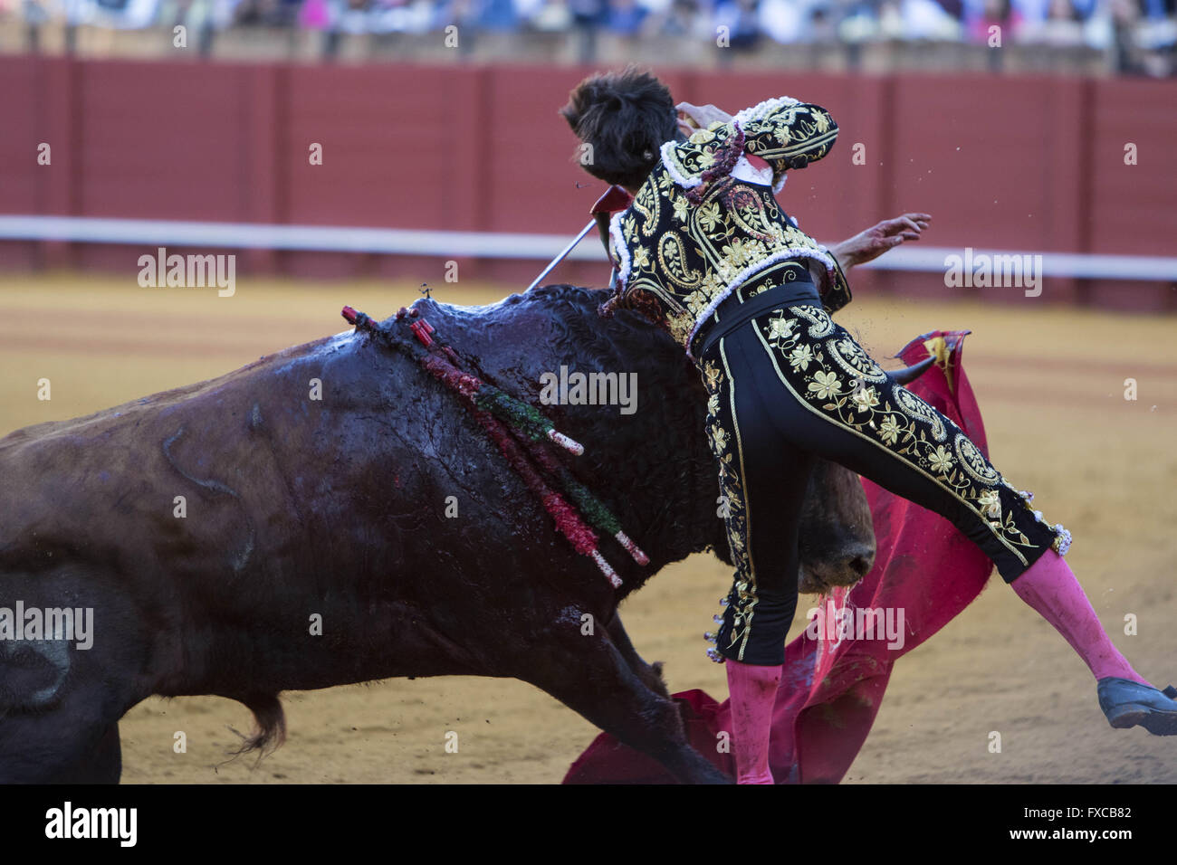 Matador Gored To Death