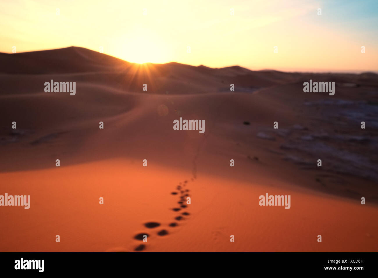Sahara Morocco sunset Stock Photo - Alamy