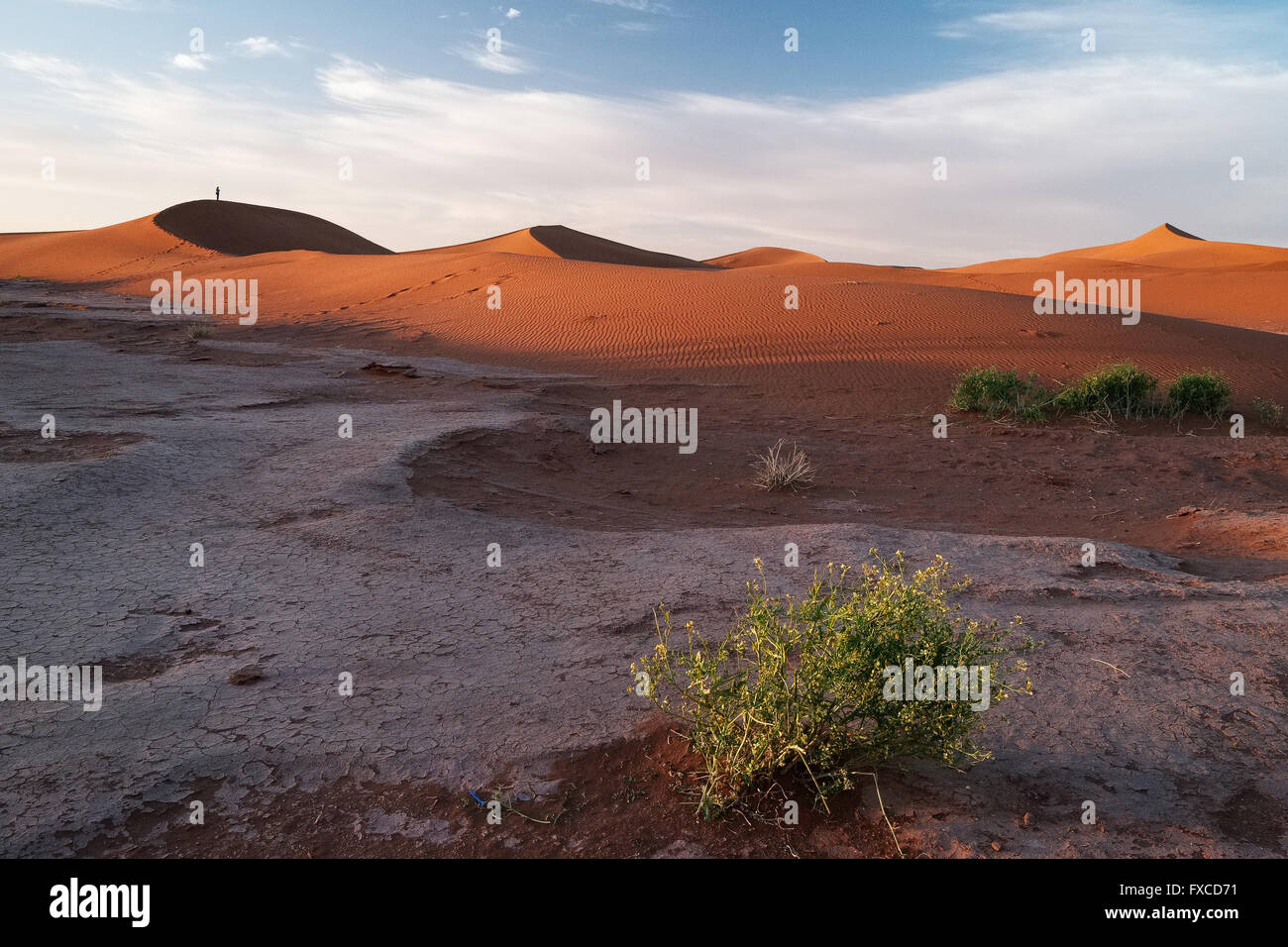 Sahara morocco hi-res stock photography and images - Alamy