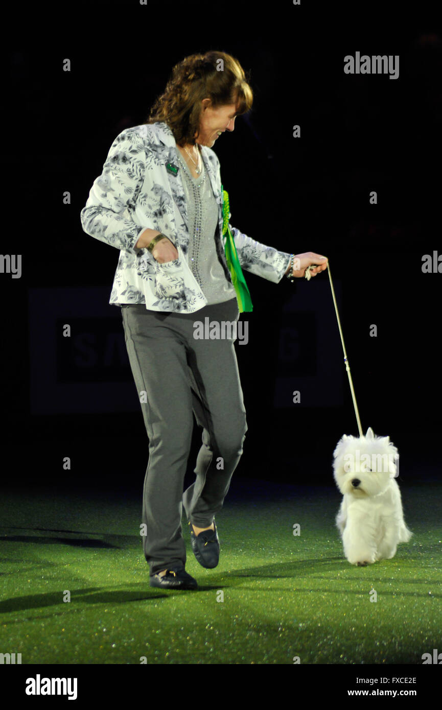 Crufts 2016 at NEC Birmingham - Day 4 - Best in Show Presentation ...