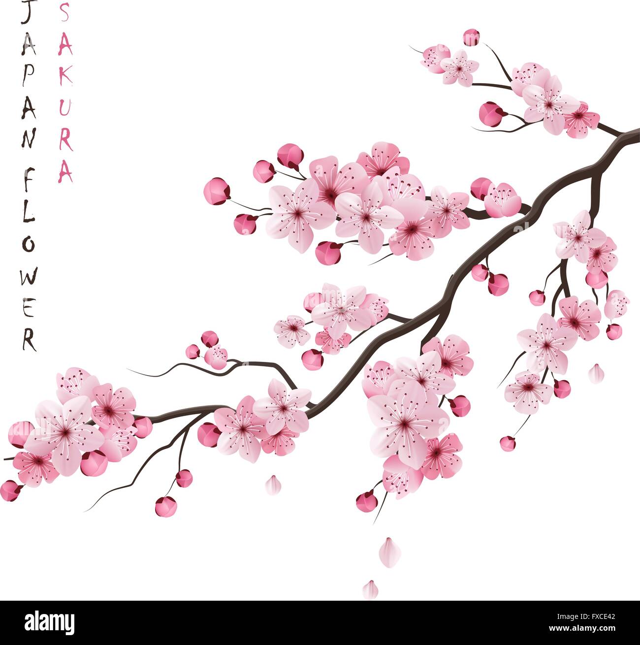 Realistic Sakura Branch Stock Vector Image & Art - Alamy