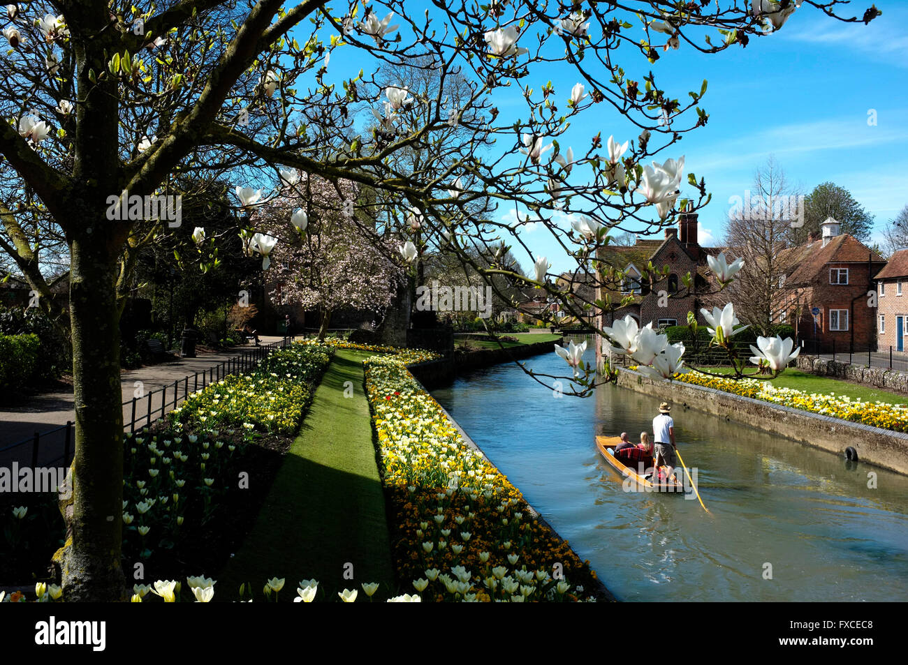 westgate area punting in city of canterbury on great stour river in ...