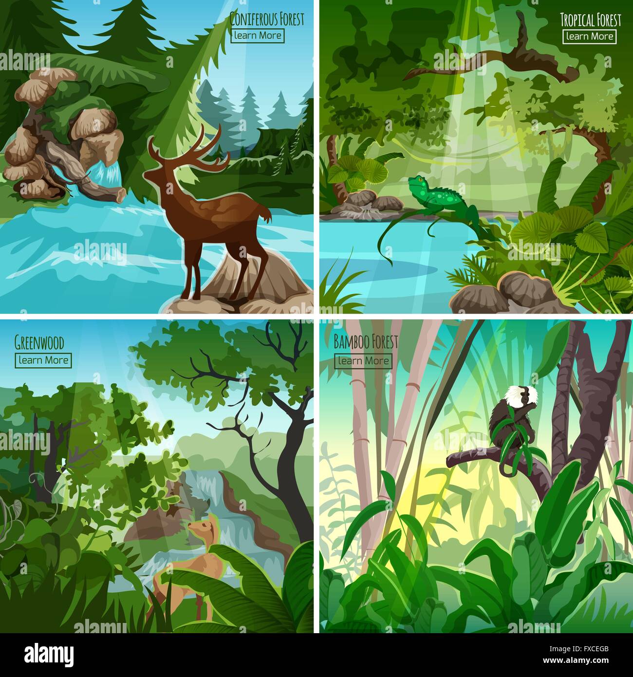 Forest Landscape 4 Flat Icon Square Stock Vector Image & Art - Alamy