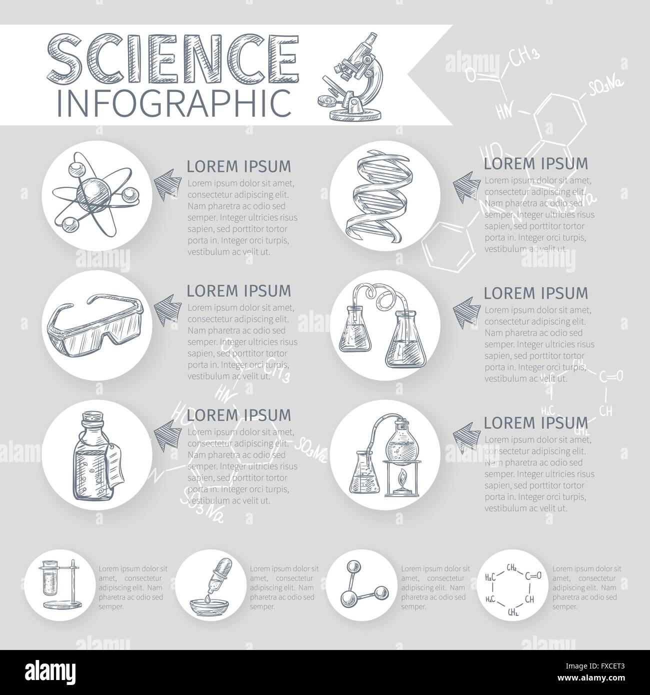 Science Infographic Set Stock Vector Image & Art - Alamy