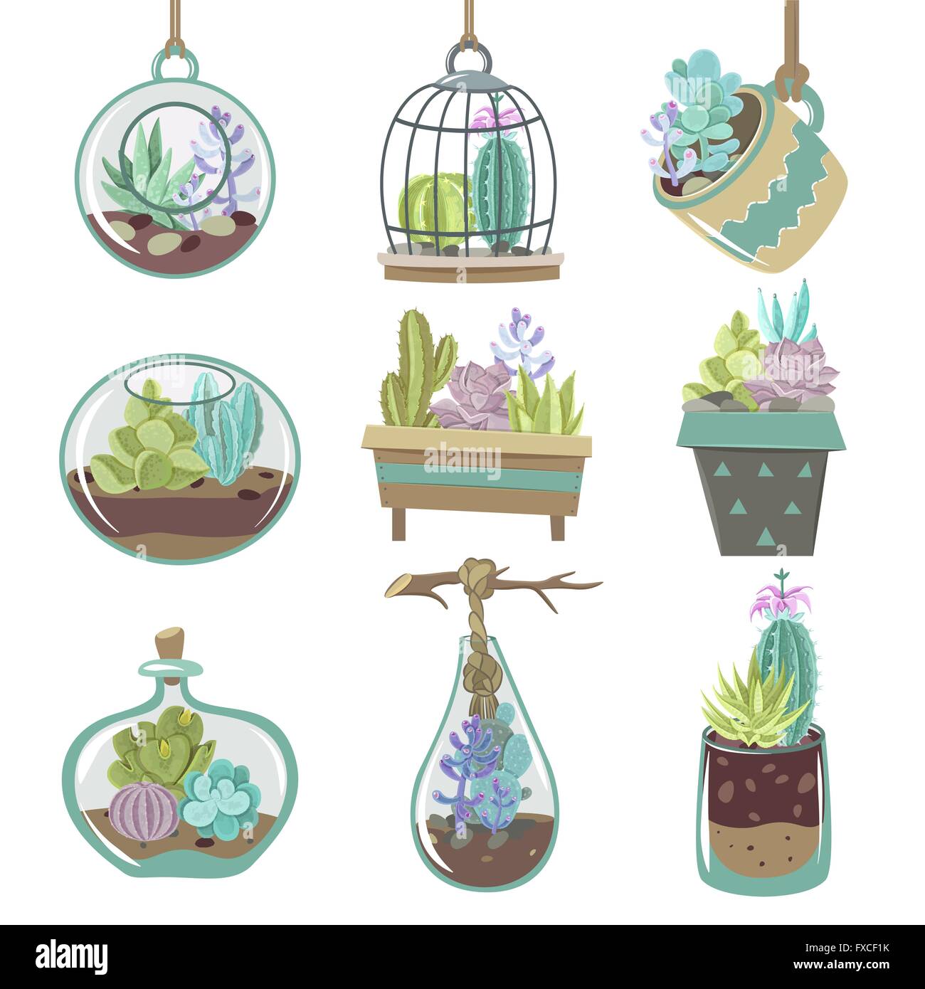 Succulents Icons Set Stock Vector Image & Art - Alamy
