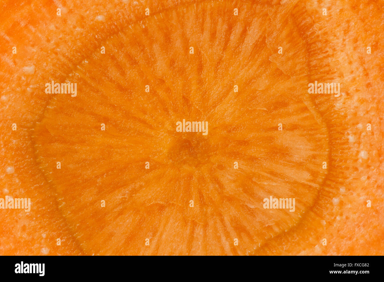 Close-up of a sliced carrot Stock Photo - Alamy