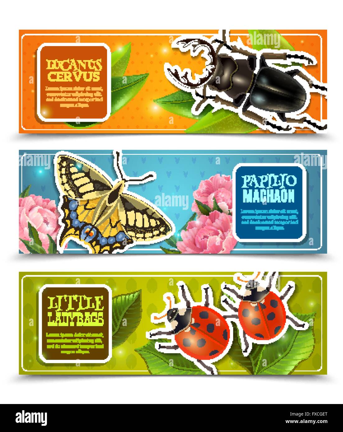 Insects Banners Set Stock Vector Image & Art - Alamy