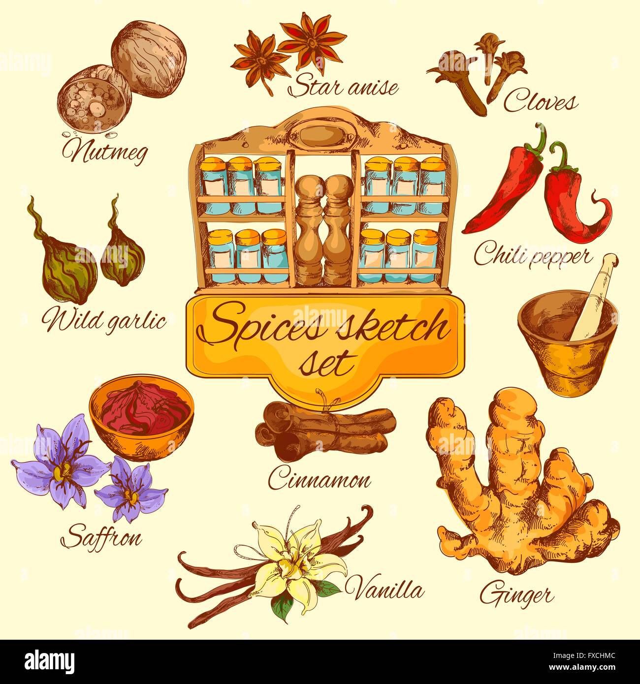 Spices Sketch Colored Stock Vector Image & Art - Alamy
