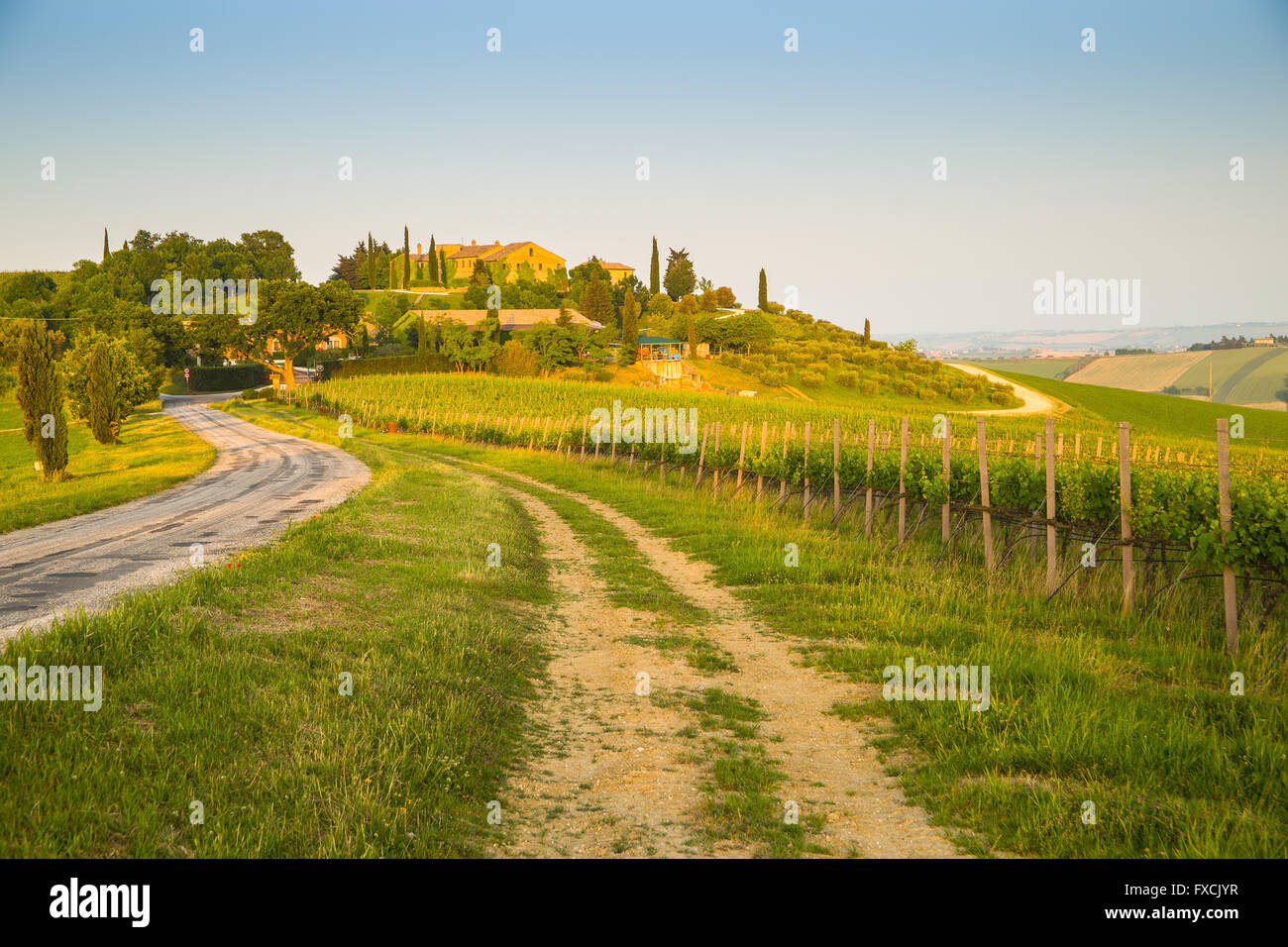 Jesi italy wine hi-res stock photography and images - Alamy