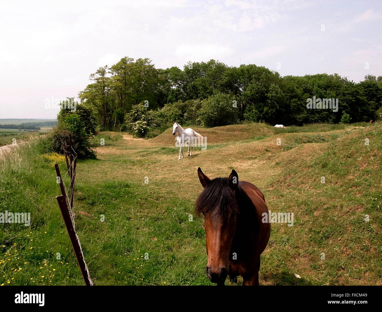 Fricourt hi-res stock photography and images - Alamy