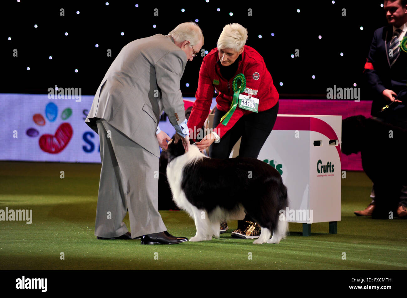 Has A Border Collie Ever Won Best In Show