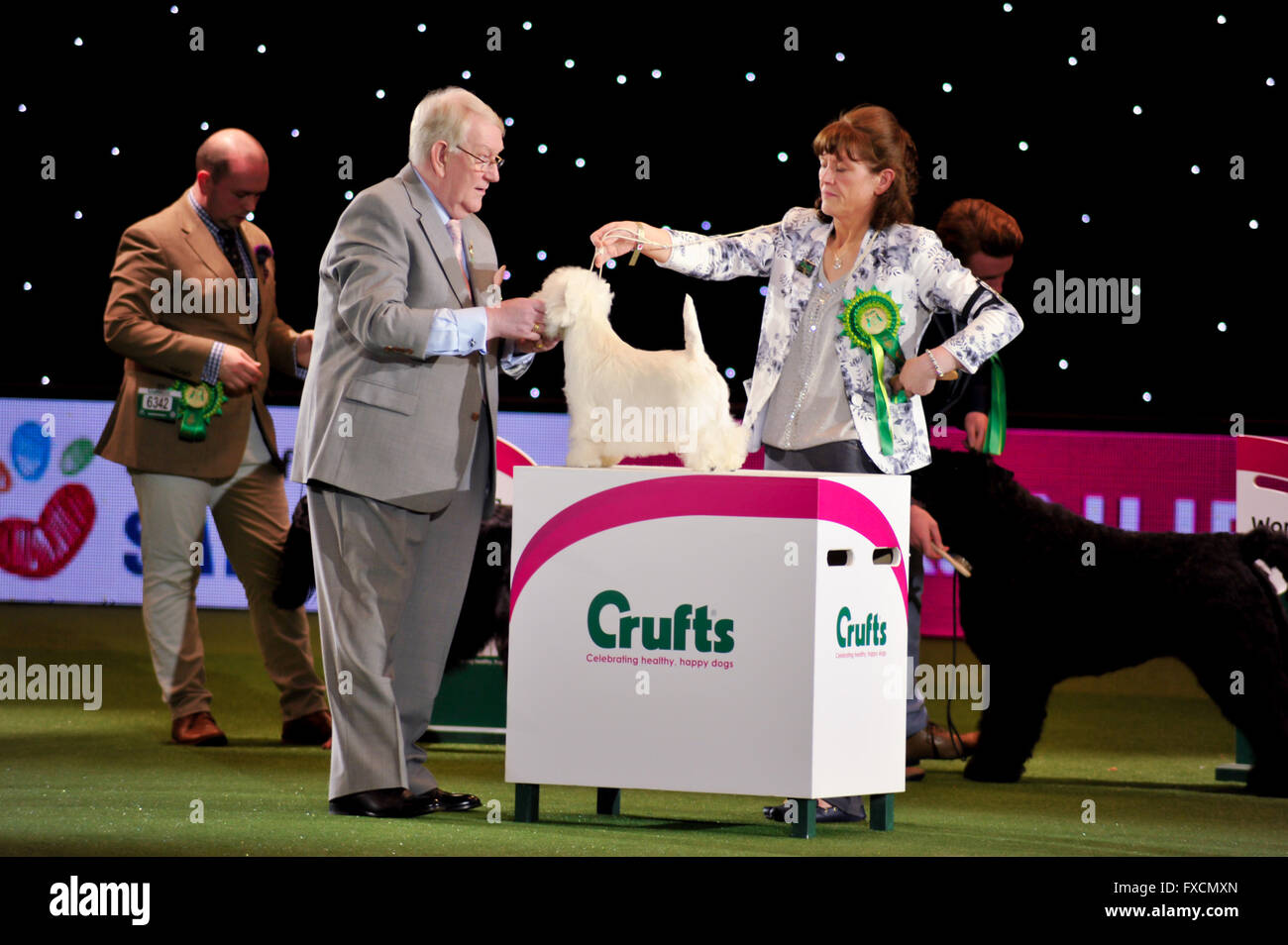 Crufts 2016 at NEC Birmingham - Day 4 - Best in Show Presentation ...
