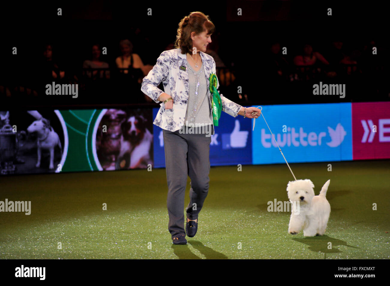 Crufts 2016 at NEC Birmingham - Day 4 - Best in Show Presentation ...