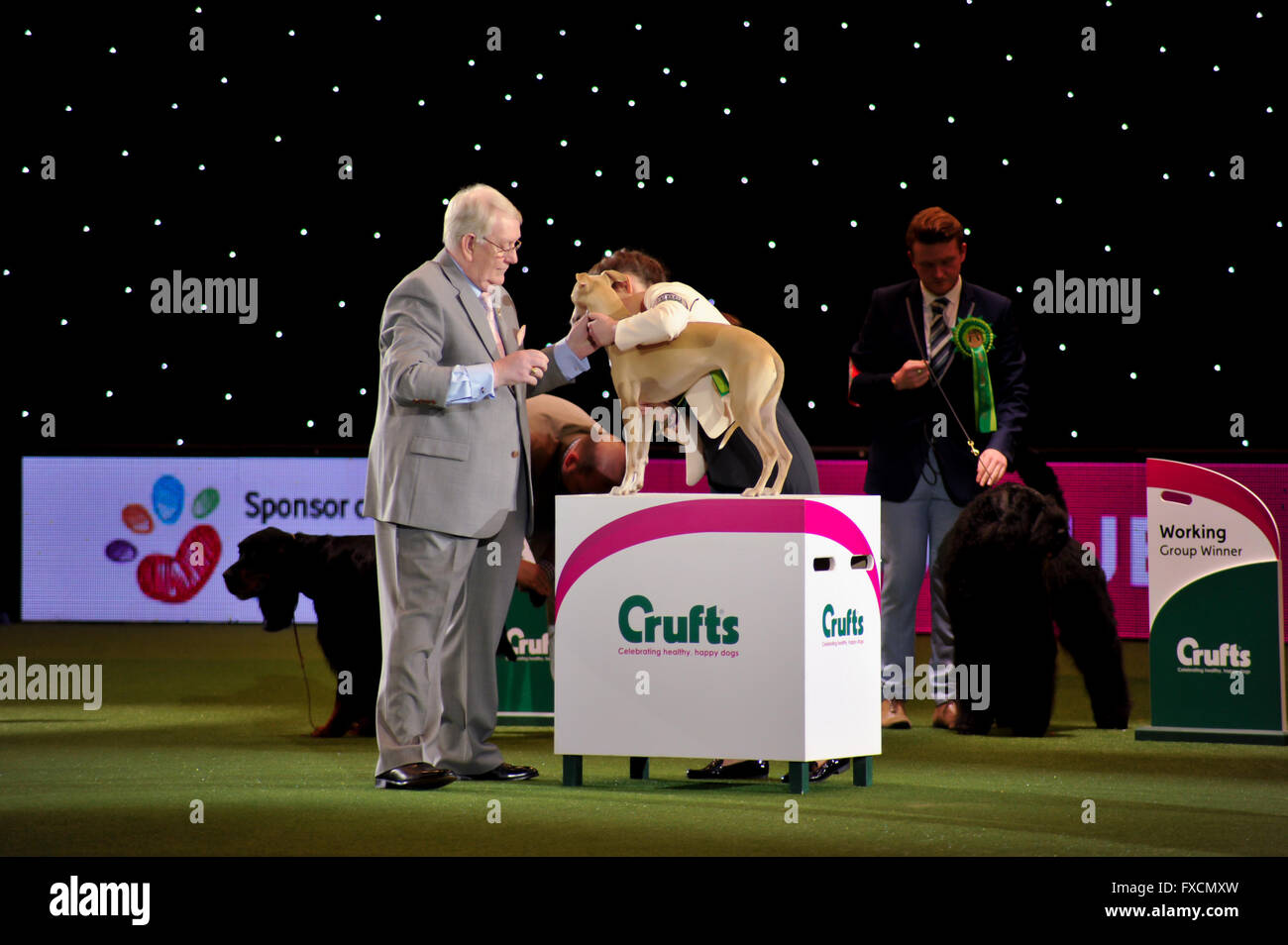 Crufts 2016 at NEC Birmingham - Day 4 - Best in Show Presentation Featuring: CH NOTHING COMPARES ...