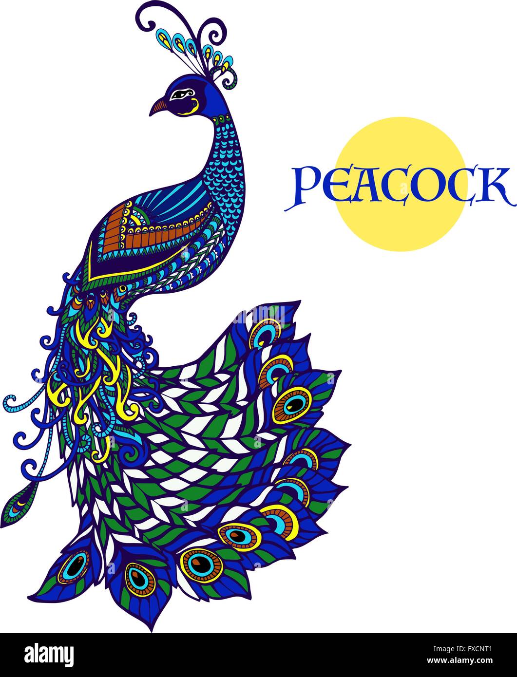 Peacock Print Designs