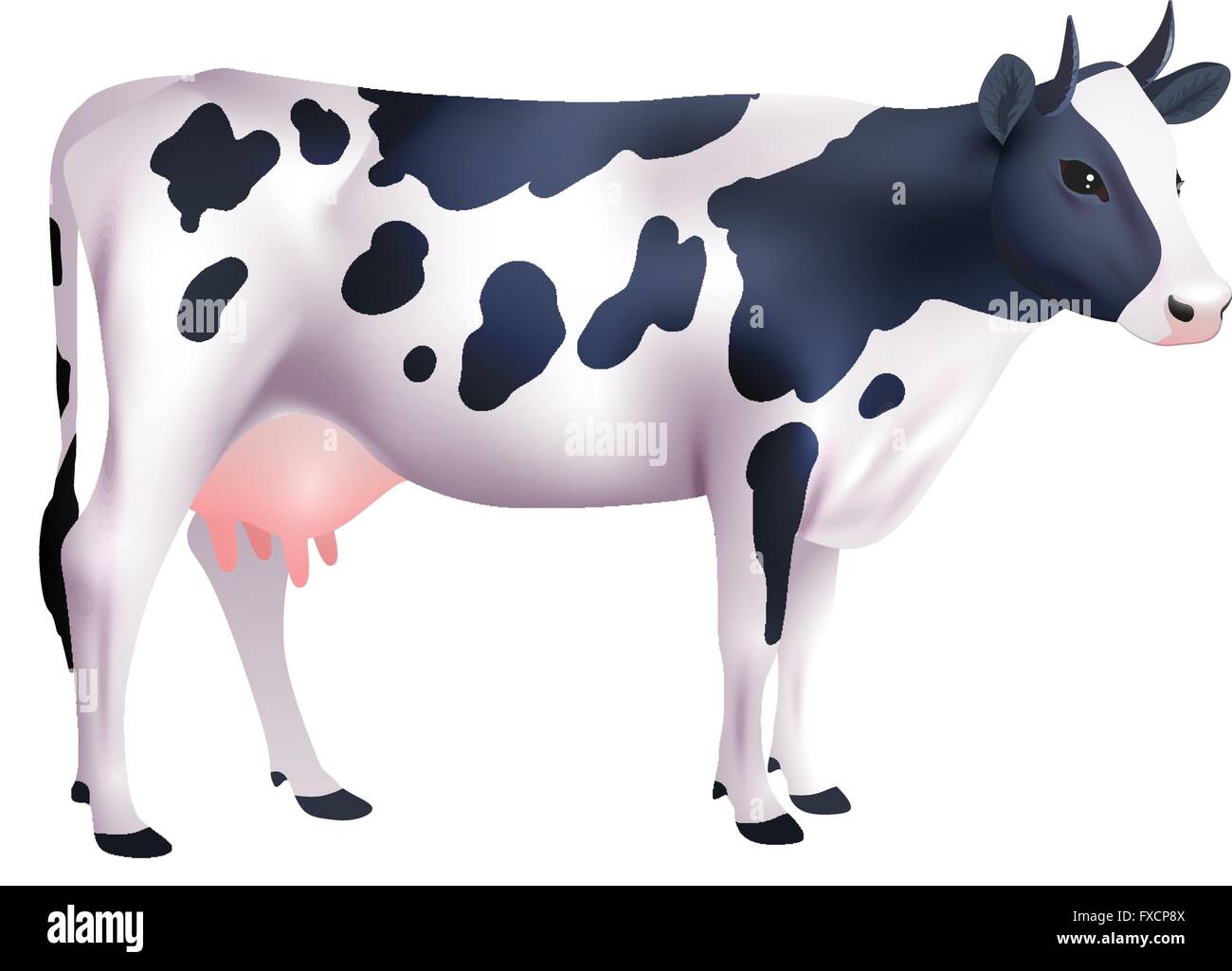 Cow Realistic Illustration Stock Vector Image & Art - Alamy