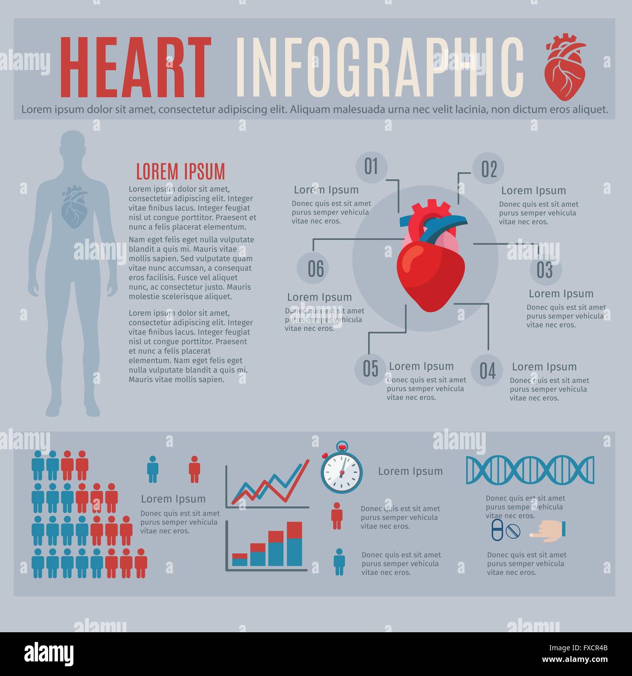 Human heart ecg Stock Vector Images - Alamy