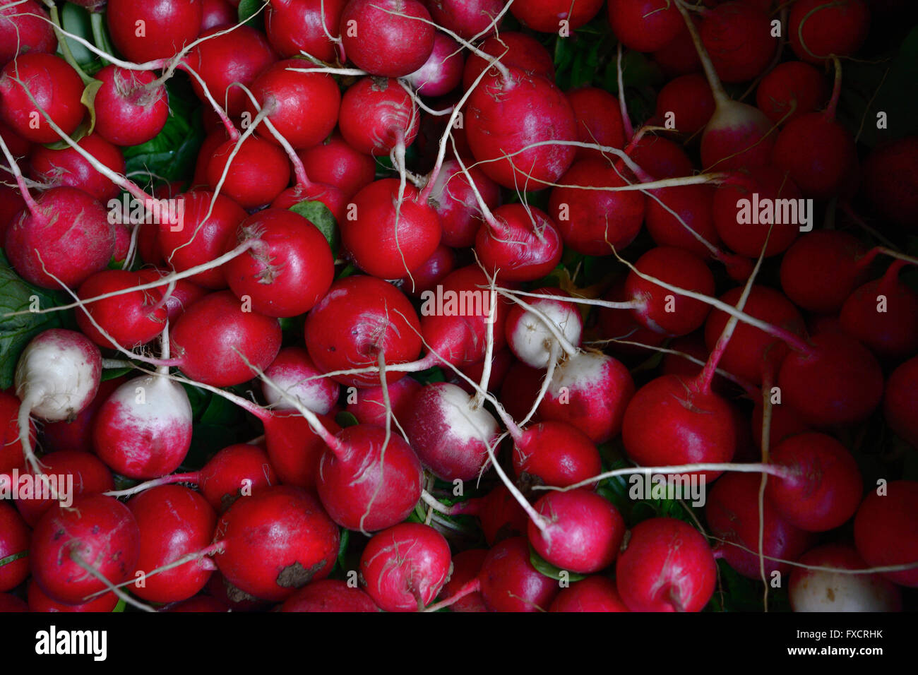 Root Vegetable High Resolution Stock Photography and Images - Alamy
