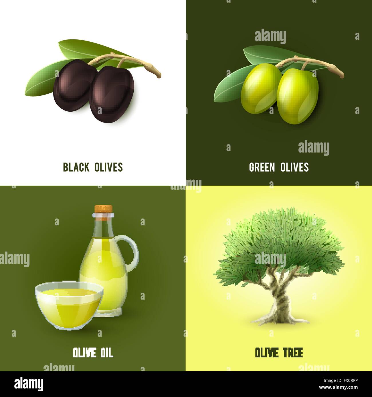 Olive Design Concept Stock Vector Image & Art - Alamy