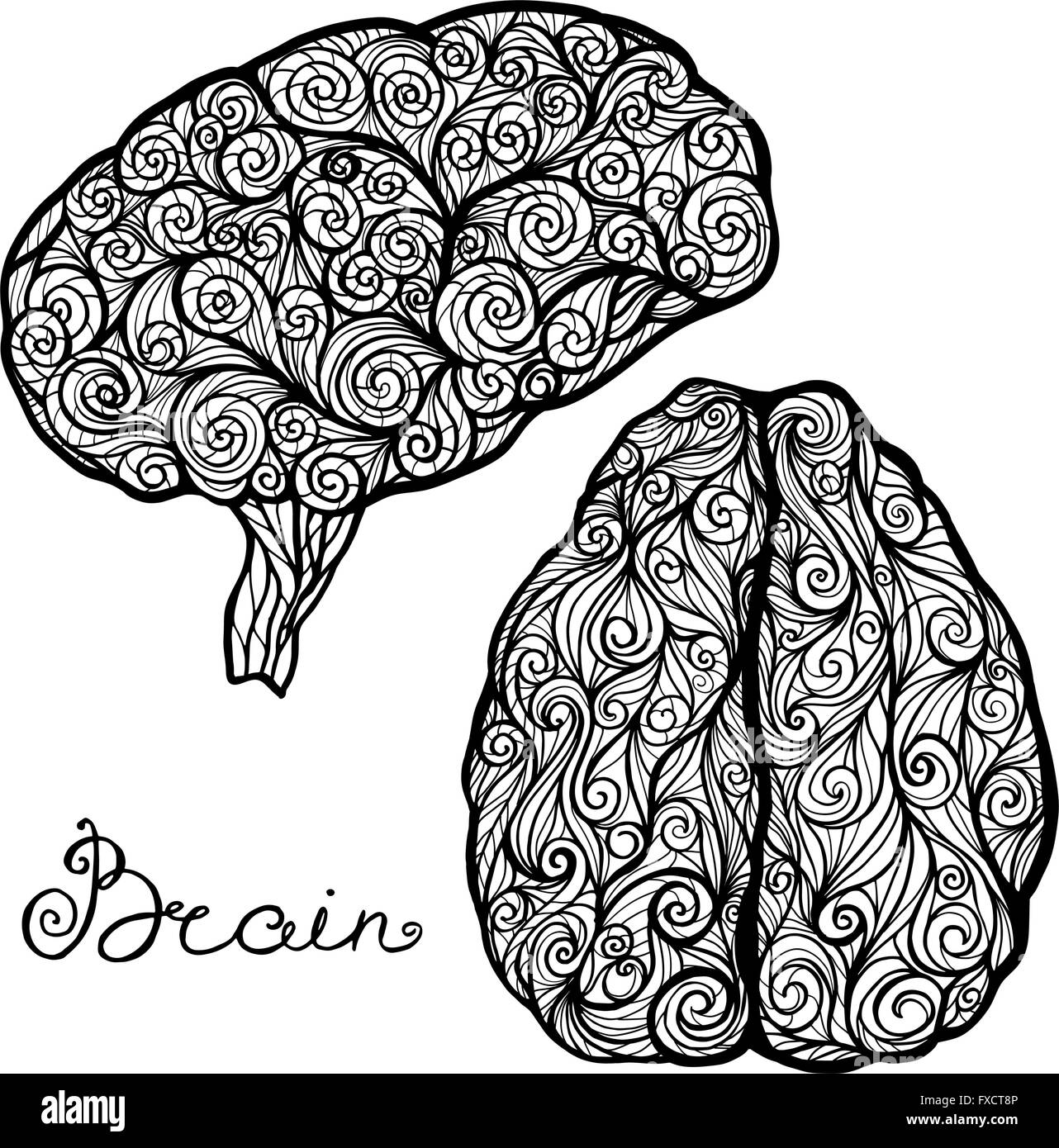Brain Doodle Set Stock Vector Image & Art - Alamy