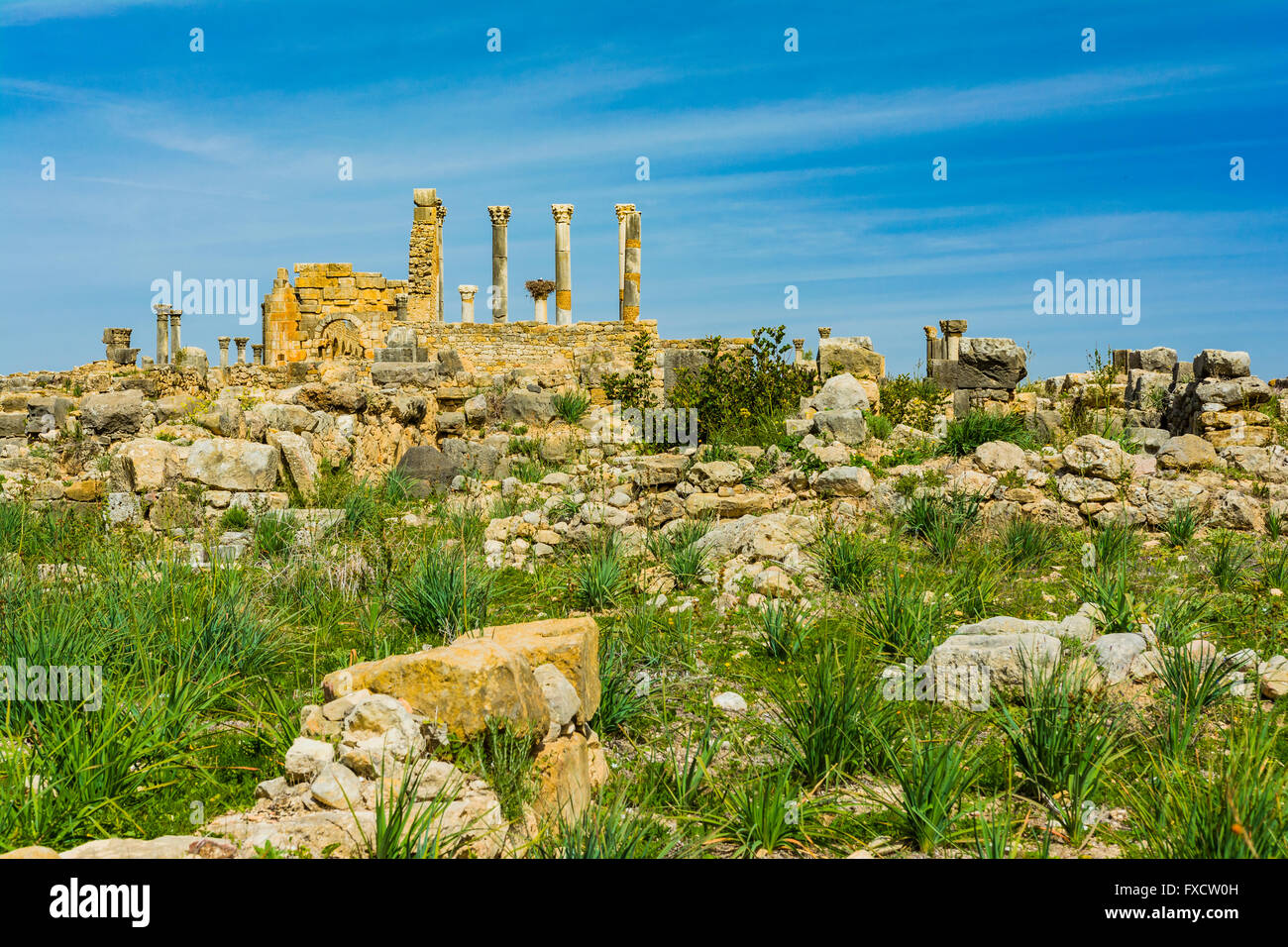 Archaeological Site of Volubilis. Morocco Stock Photo - Alamy