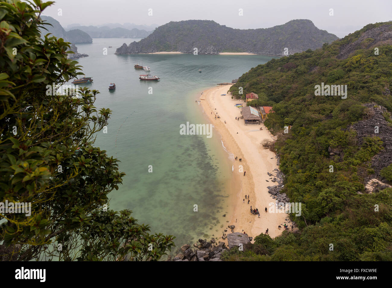 Monkey island hi-res stock photography and images - Alamy