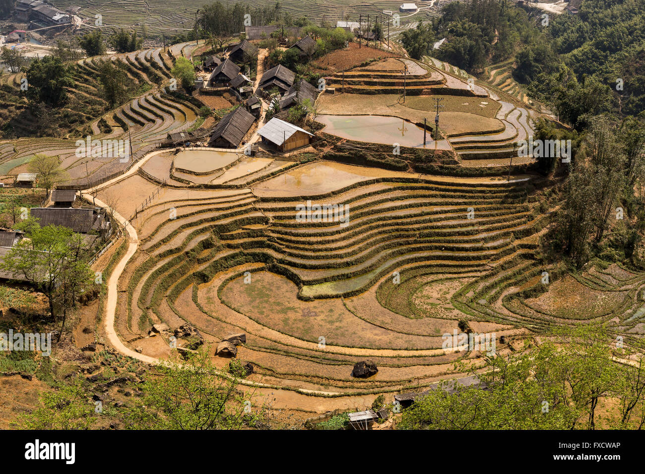 Rice fields in SaPa during Winter Stock Photo - Alamy
