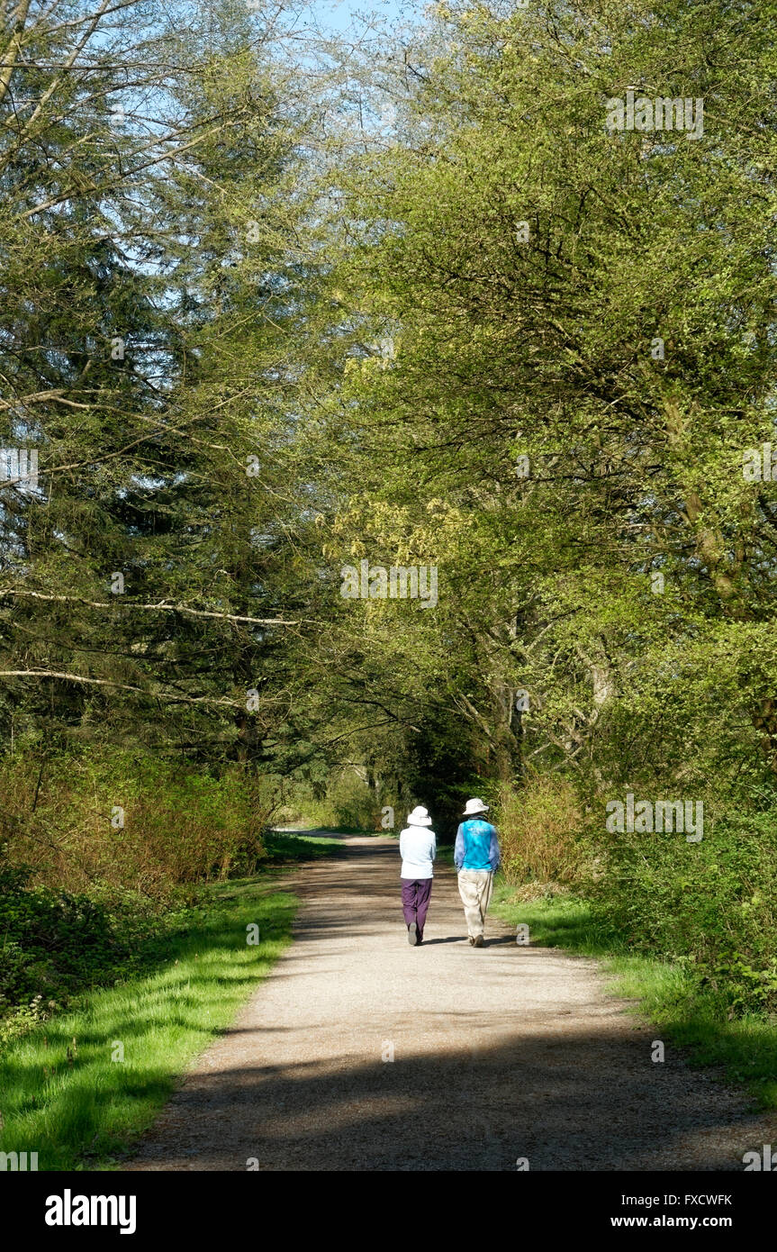 Older couple walkingalong a path through the woods in springtime ...