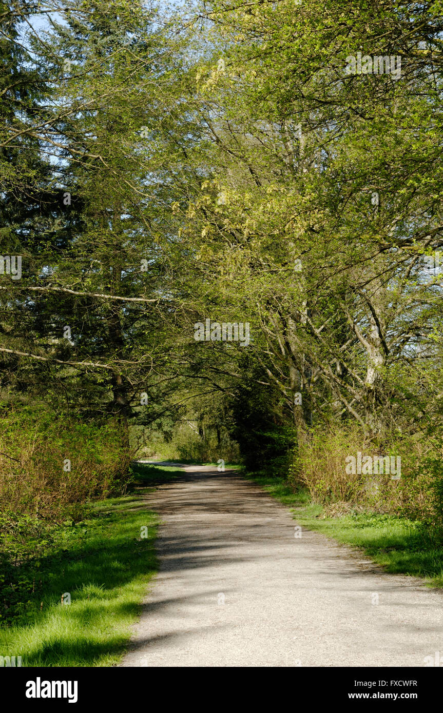 Wooded pathway hi-res stock photography and images - Alamy