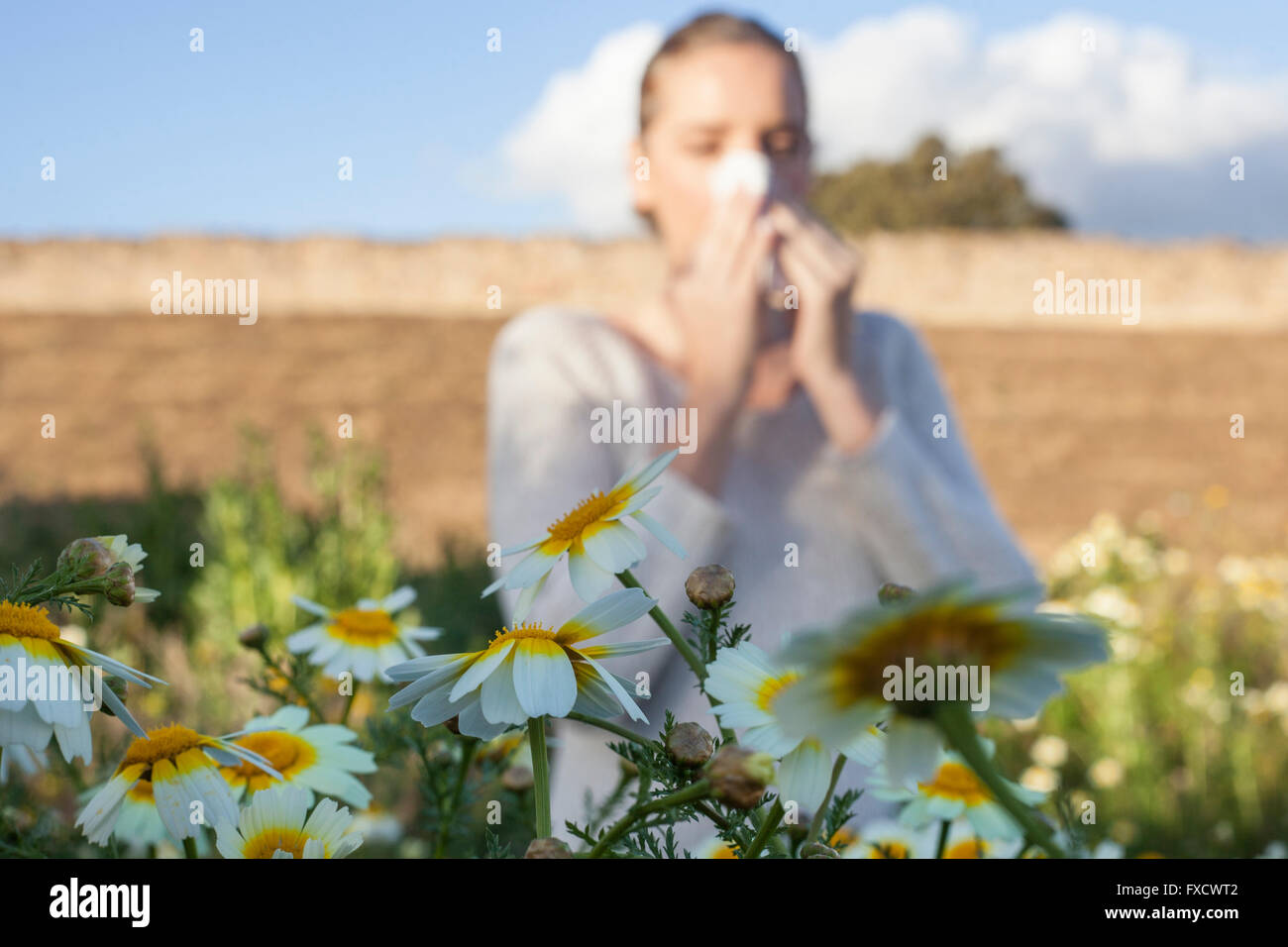 Young woman sneezing in a daisy flowers meadow. She is allergic to ...