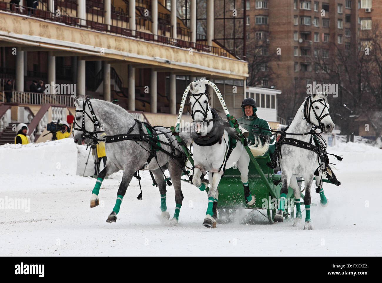 A three-horse-drawn troika in winter, Russia Stock Photo - Alamy