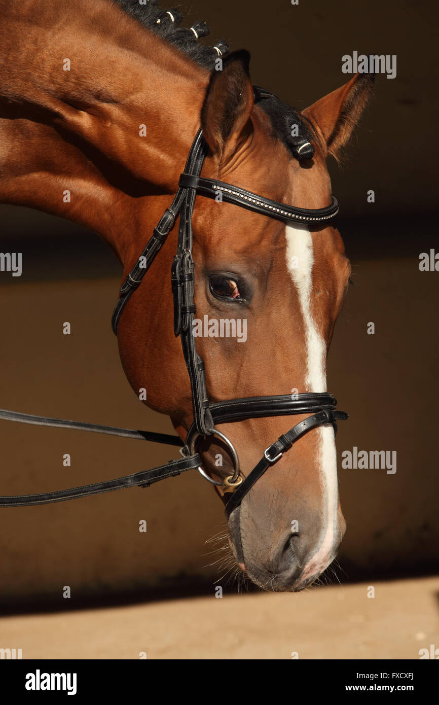 Dark daylight hi-res stock photography and images - Alamy