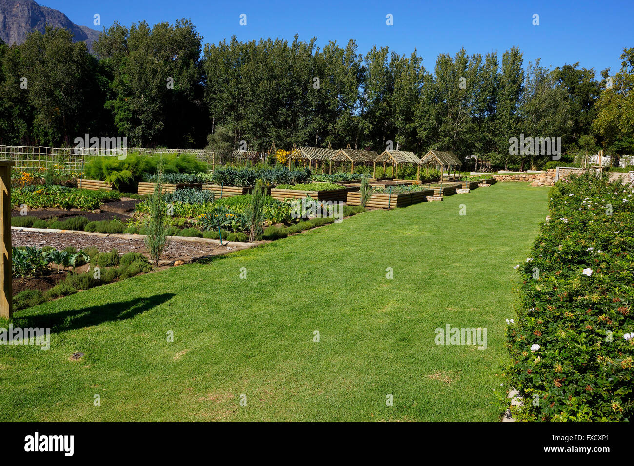 Babylonstoren hi-res stock photography and images - Alamy