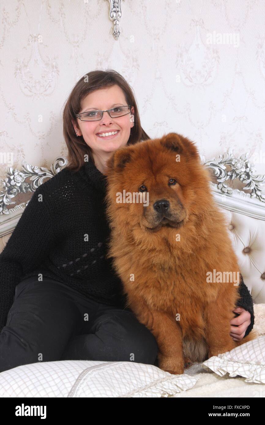 woman and Chow Chow Stock Photo - Alamy