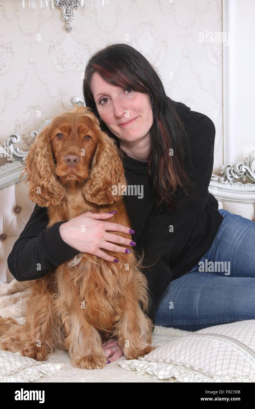 woman and English Cocker Spaniel Stock Photo - Alamy