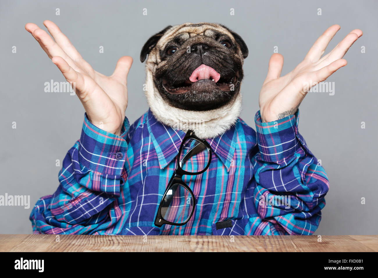 Dog Over Eyes High Resolution Stock Photography and Images - Alamy