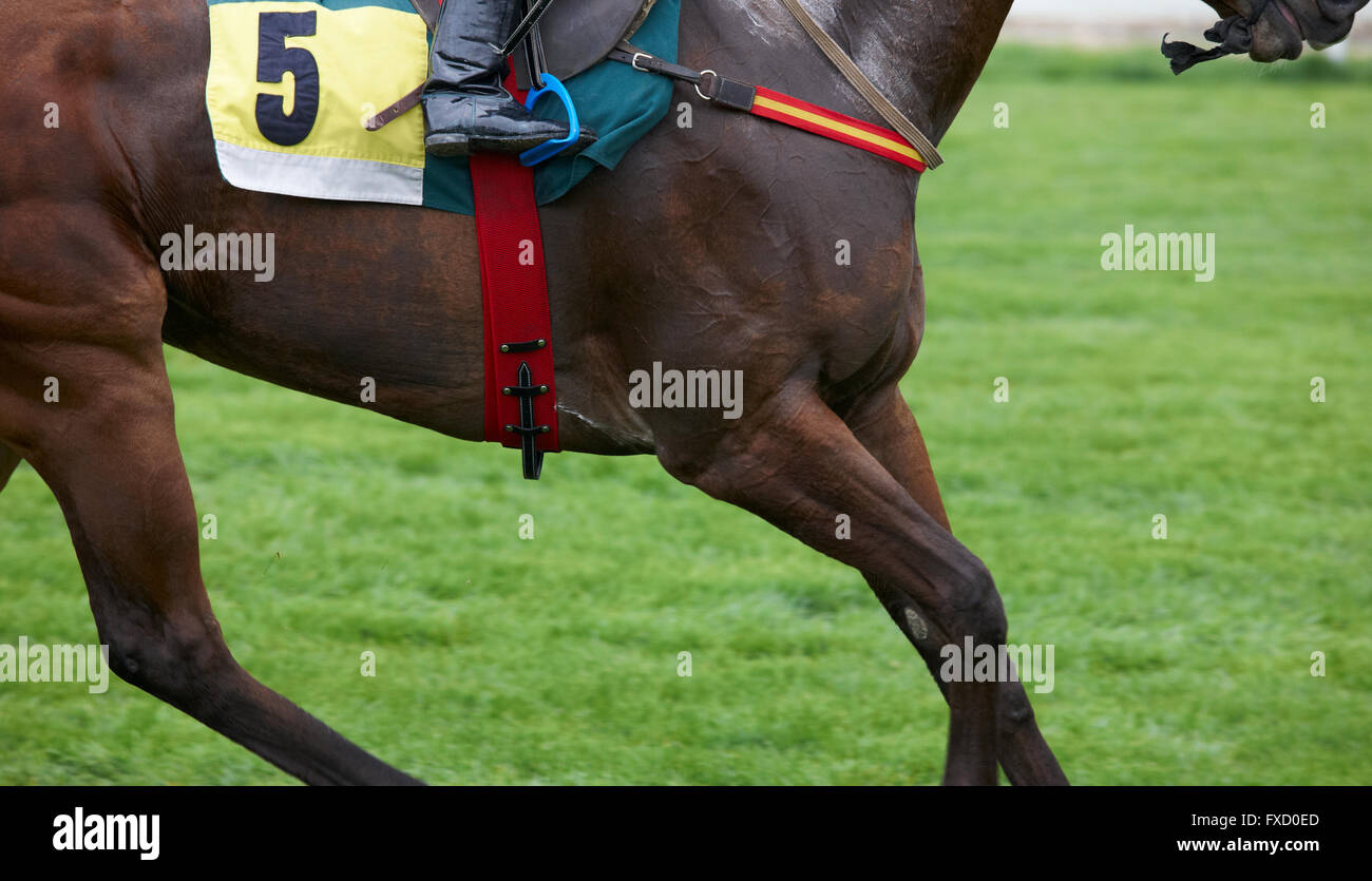 Race horse number five hi-res stock photography and images - Alamy
