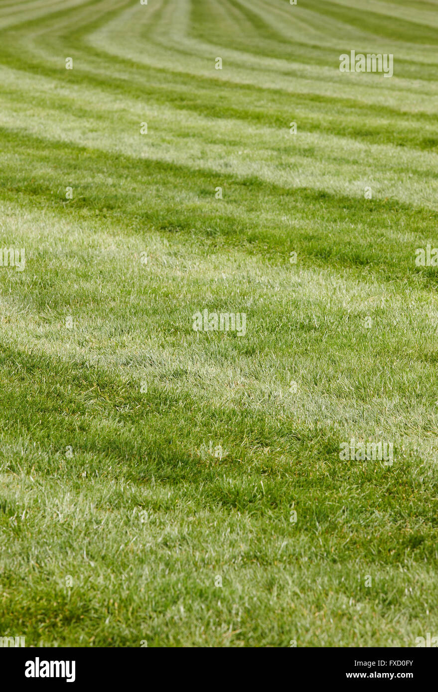 Horse race track with curve line. Vertical format Stock Photo - Alamy