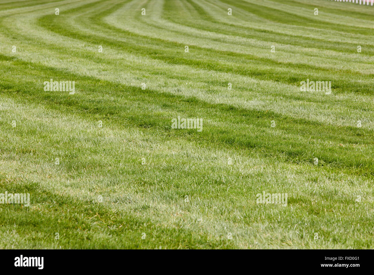 Empty race track curve hi-res stock photography and images - Alamy