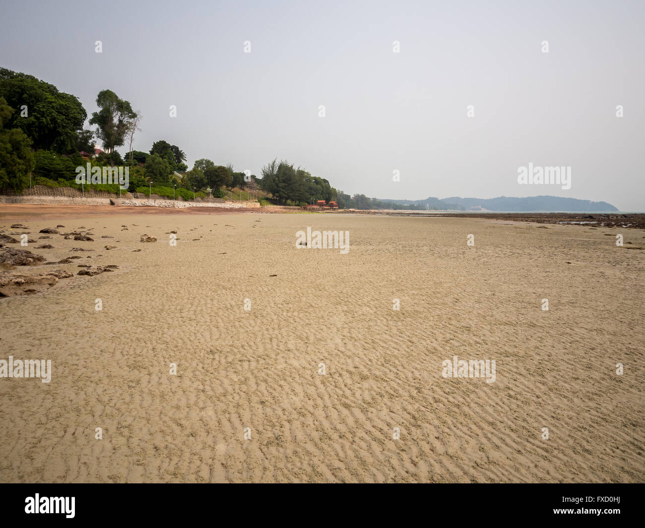 Tree line into the sea Stock Photo - Alamy