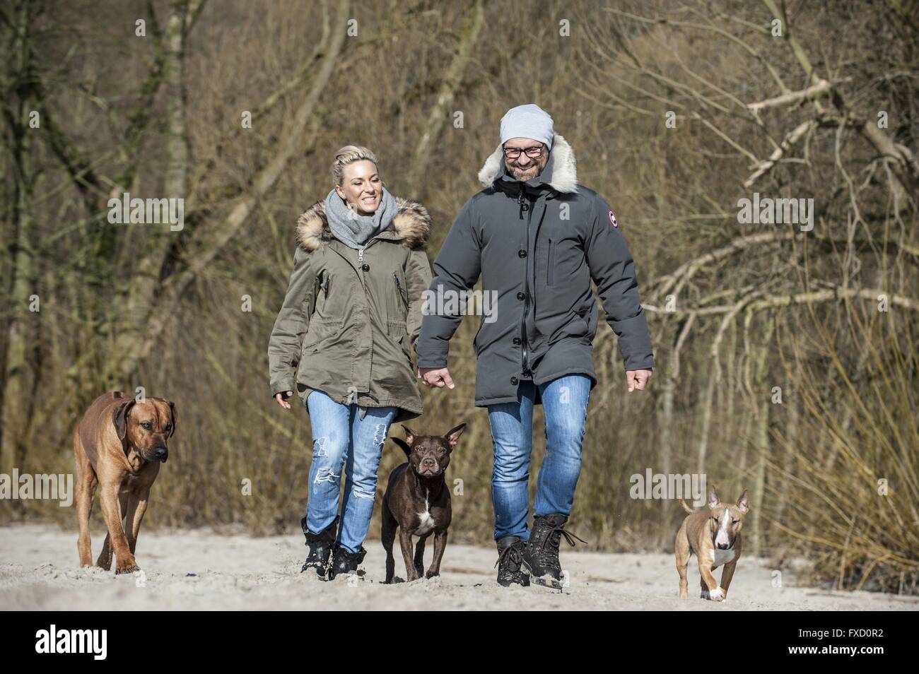 Woman walking three dogs hi-res stock photography and images - Alamy