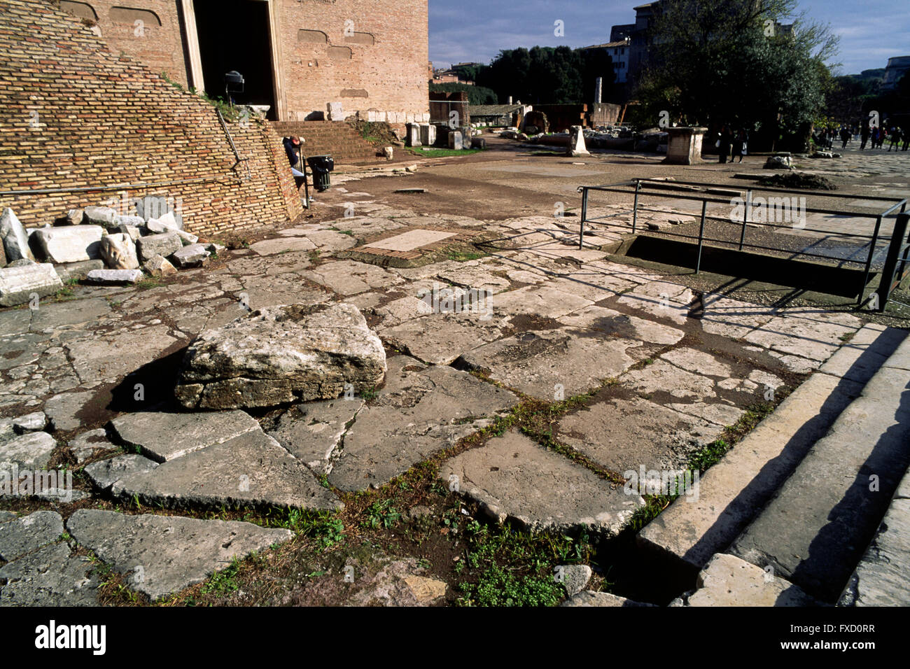 Comitium Forum Romanum Rome