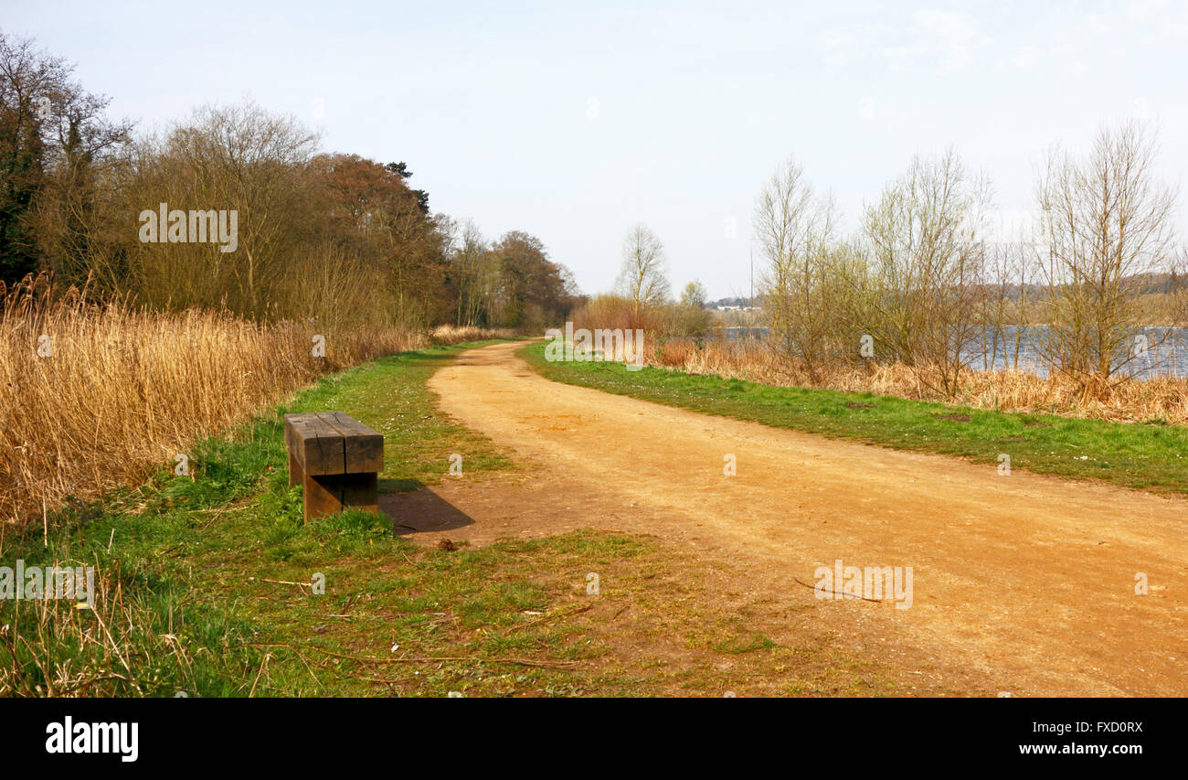A view of the footpath by Whitlingham Great Broad at Whitlingham ...
