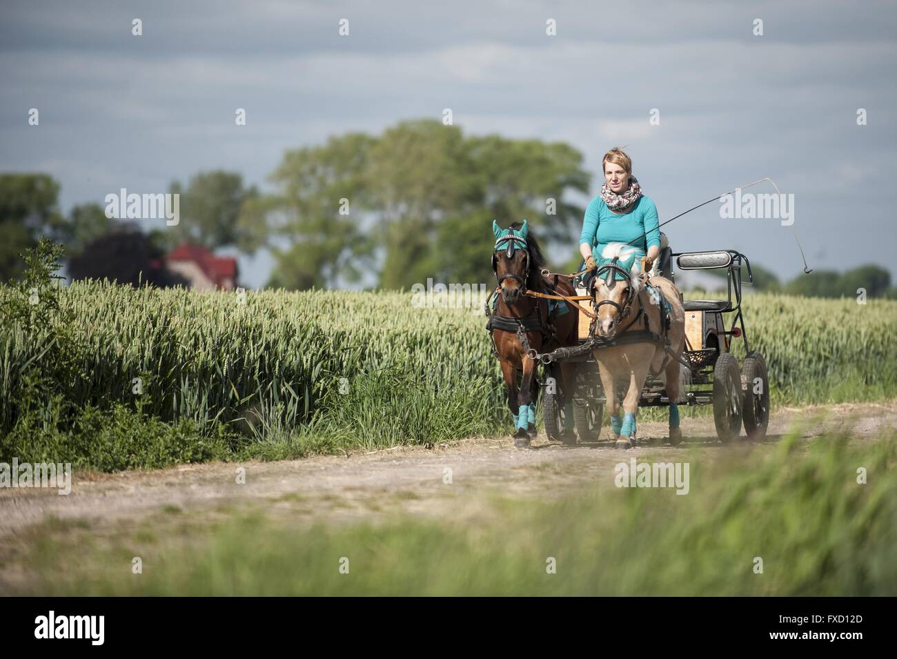 Two person carriage hi-res stock photography and images - Alamy