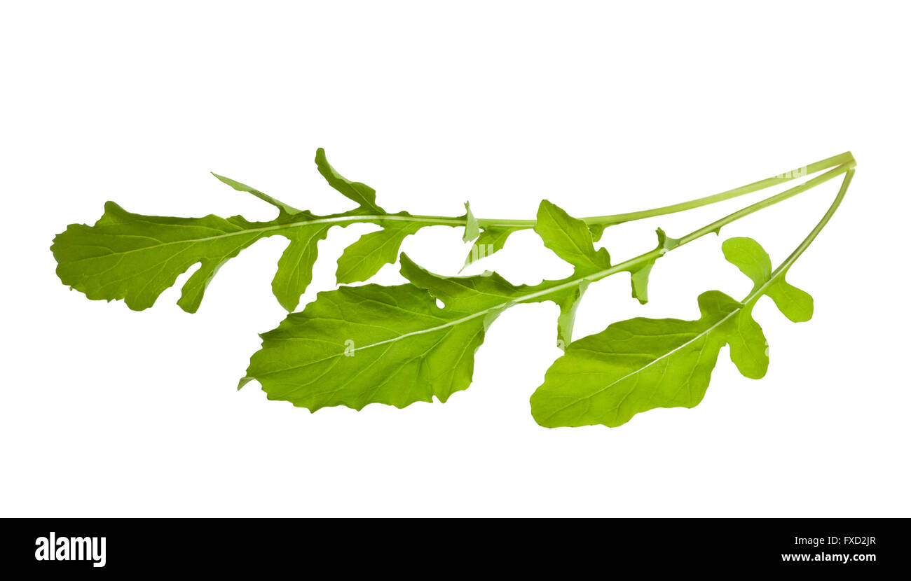 Arugula bunch isolated on white Stock Photo - Alamy