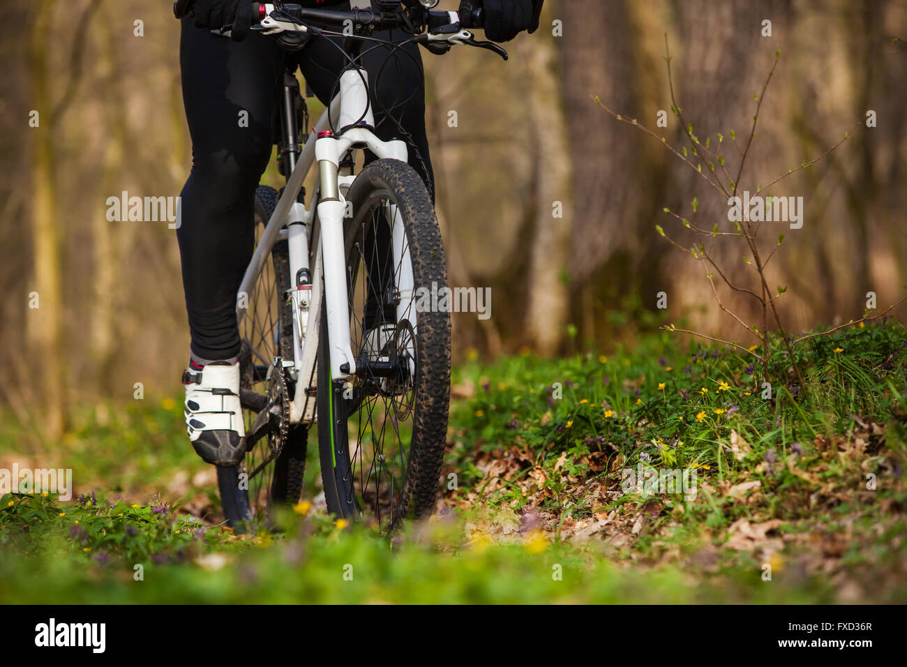 Mountain Bike cyclist riding single track Stock Photo - Alamy