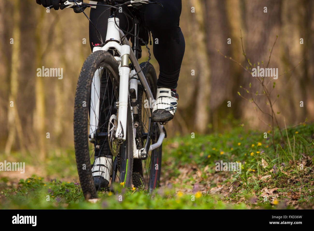 Mountain Bike cyclist riding single track Stock Photo - Alamy