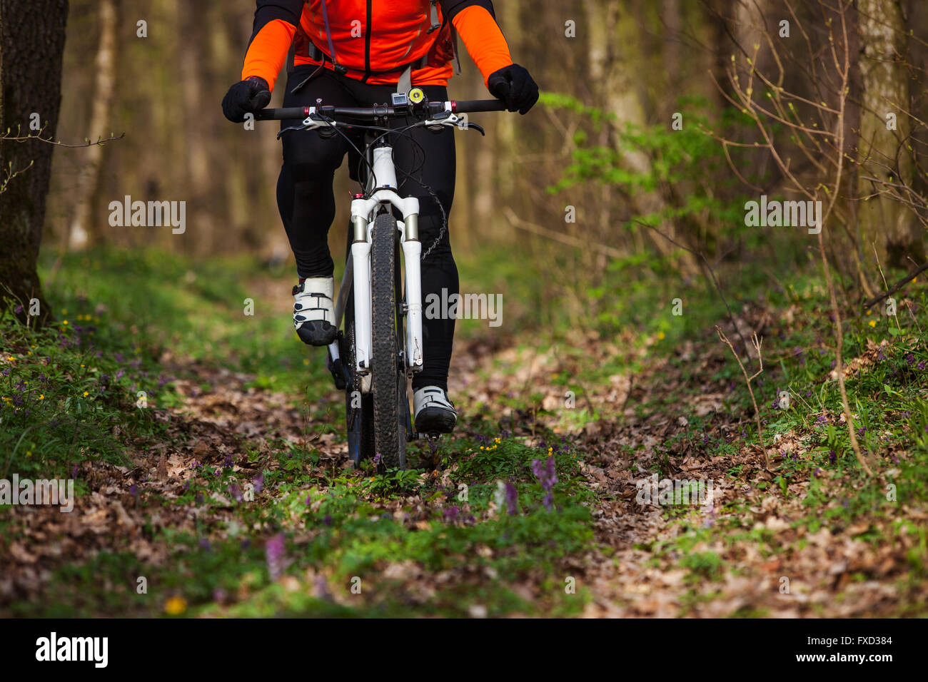 Want adventure action excitement poster hi-res stock photography and ...