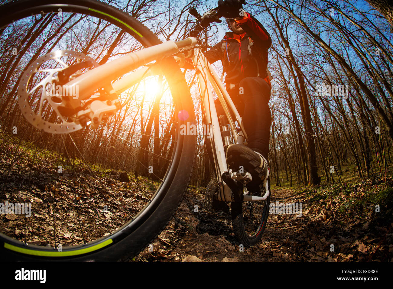 Cyclist Riding the Bike Stock Photo - Alamy